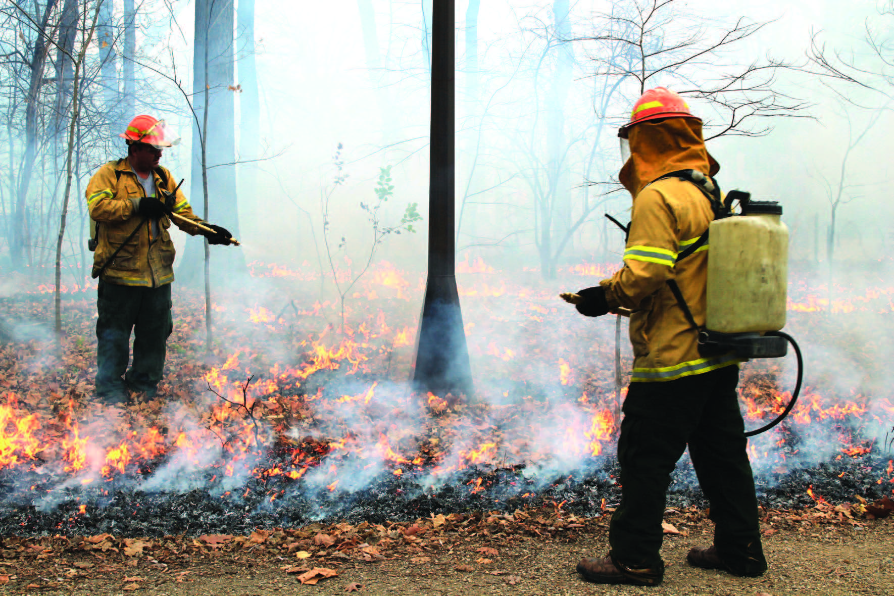 Prescribed Burns – Park District of Oak Park